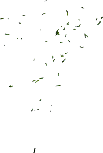 Gourmand – Just another WordPress site